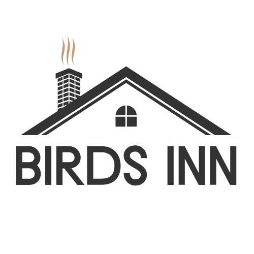 Birds Inn Hotel | Kuşadası